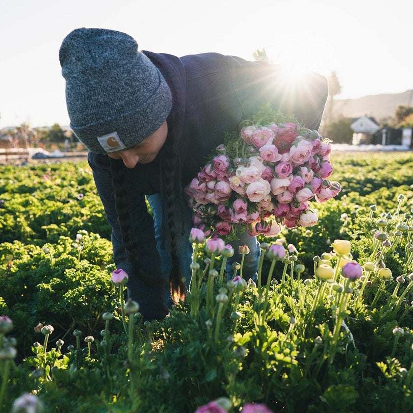 Flower Share – The Ecology Center
